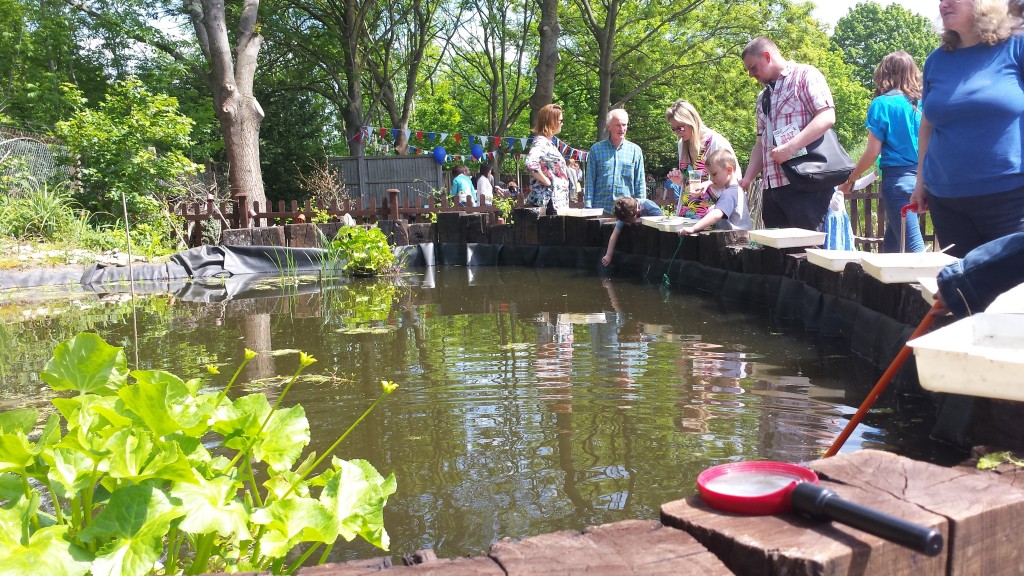 Stanley Primary Pond Opening - School Pond Installation - PGSD