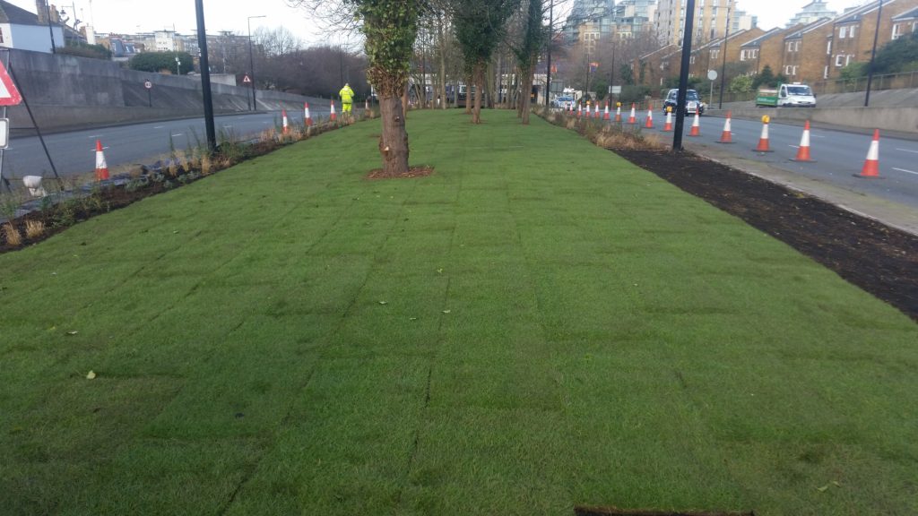 Trinity Road Wandsworth - PGSD